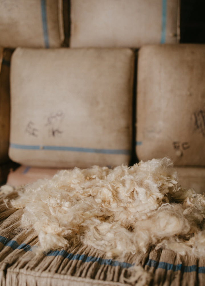 NZ Wool Group - From Here To The World